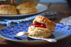 Scones - laboratoire Biogéosciences